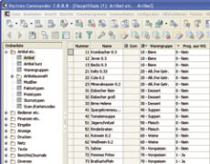 Vectron Commander 7 - UMTS Media Service